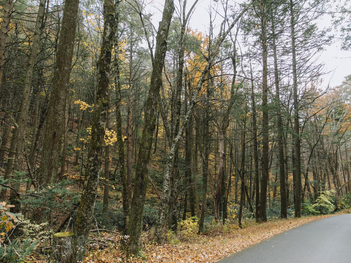 PA budget provides cash boost for rural counties • Spotlight PA