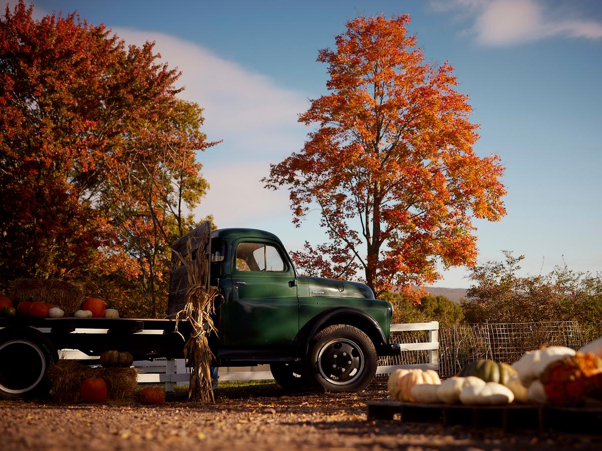 Seven reasons to be excited about fall • Spotlight PA