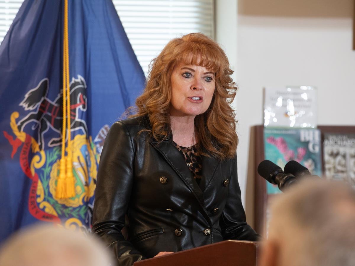 Who is Stacy Garrity, the treasurer endorsed by the PA GOP for governor ...